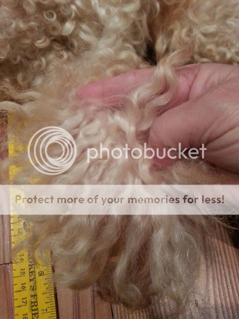 Cording - getting started | Poodle Forum