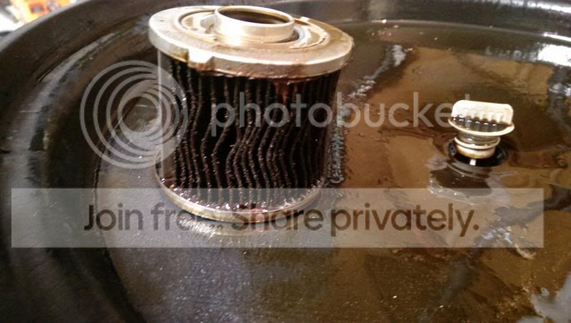 oil filter cut open | BobIsTheOilGuy