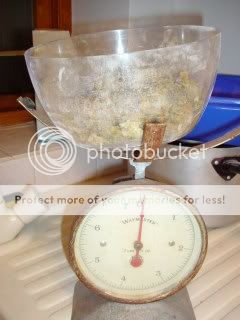 Aldi Digital Scales - Home Brew Forum