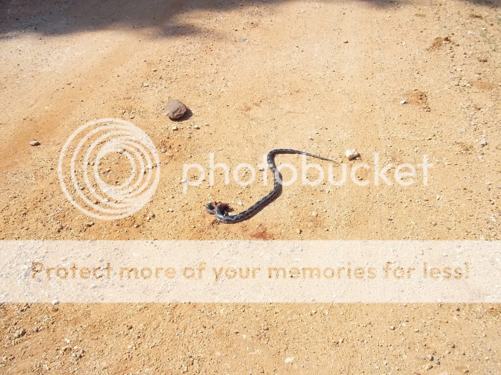 Southern DS Loop ADV Style | Adventure Rider